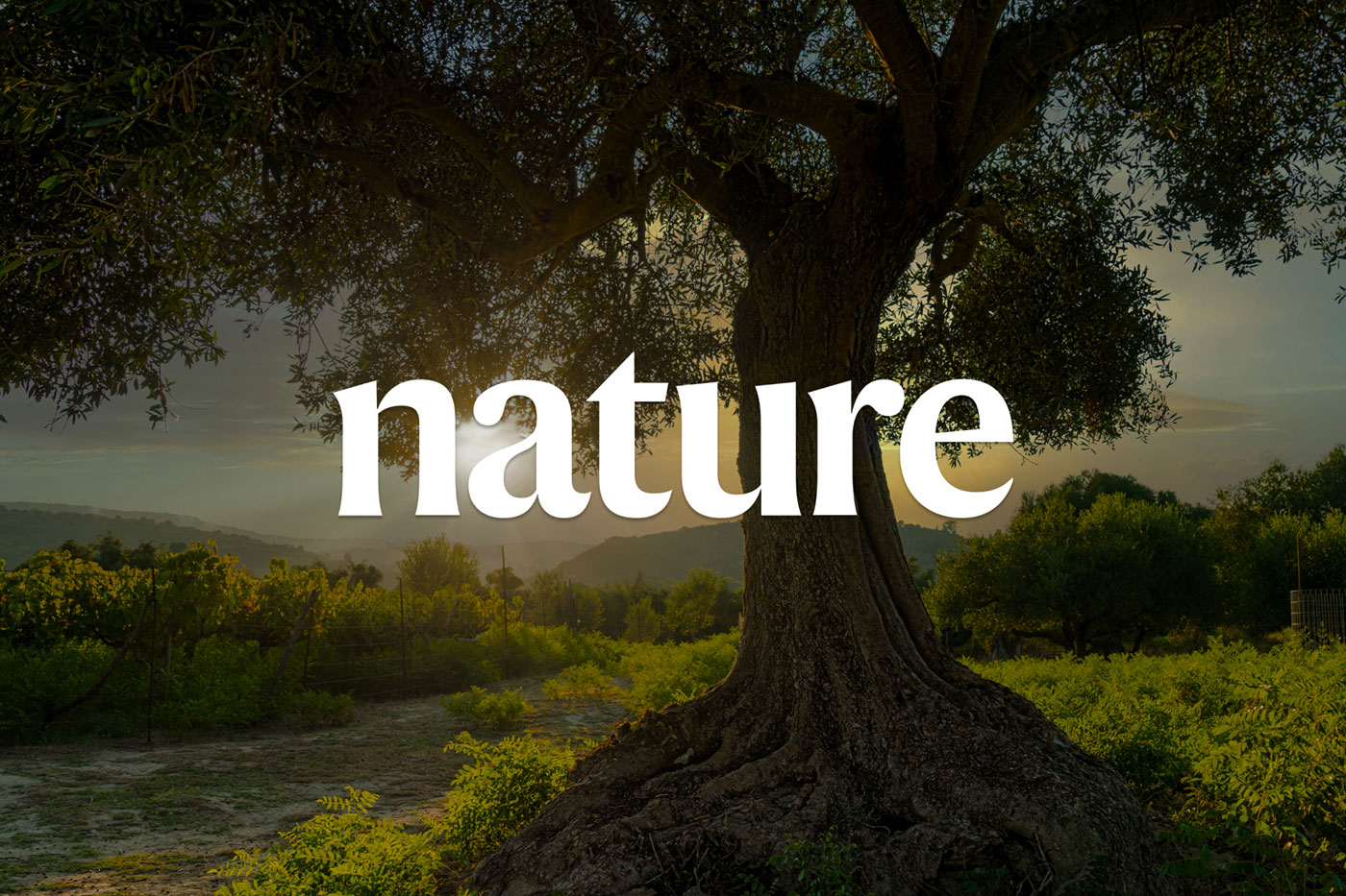Congratulations to Prof. Anu Suomalainen for her Nature publication ...